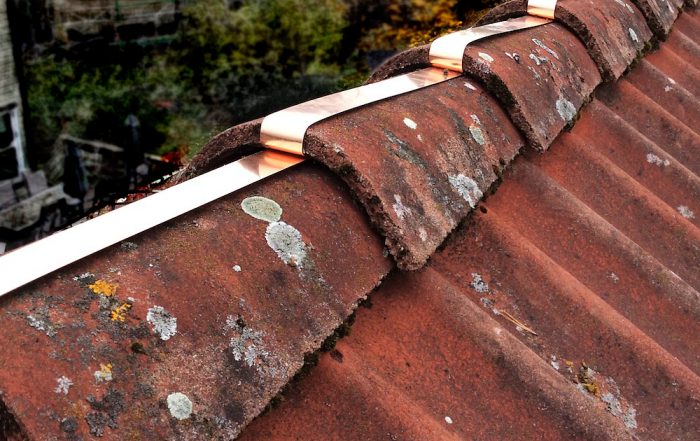 Takrens – BIOCLEAN